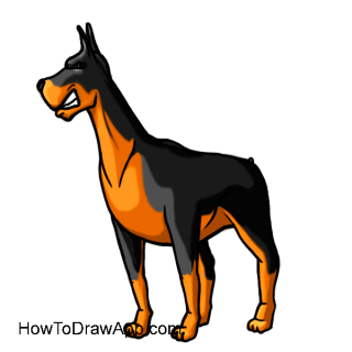 How to draw a Doberman Pinscher – easy drawing lesons for beginners.